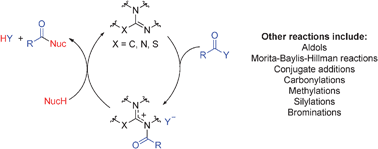Amidines, isothioureas, and guanidines as nucleophilic catalysts ...