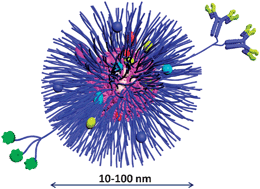 Design of polymeric nanoparticles for biomedical delivery applications ...