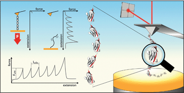 Single molecule force spectroscopy using polyproteins - Chemical ...