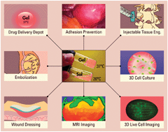 Temperature-responsive compounds as in situ gelling biomedical ...