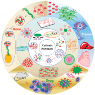 Cationic polymers and their therapeutic potential - Chemical Society ...
