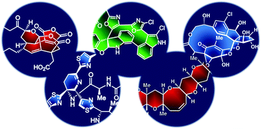 Constructing molecular complexity and diversity: total synthesis of ...