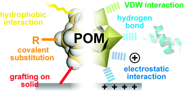 Recent advances on polyoxometalate-based molecular and composite ...