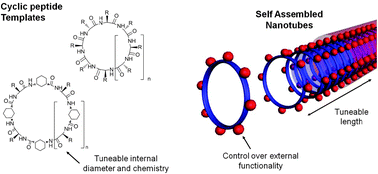 Design and properties of functional nanotubes from the self-assembly of ...