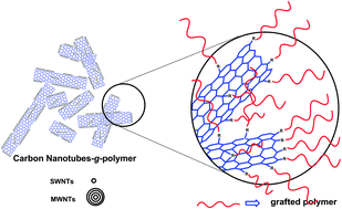 Surface-initiated polymerization from carbon nanotubes: strategies and ...