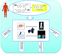 Cage the firefly luciferin! – a strategy for developing bioluminescent ...