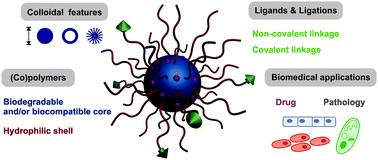 Design, functionalization strategies and biomedical applications of ...