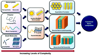 Toward functional nanocomposites: taking the best of nanoparticles ...