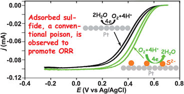 Unconventional promoters of catalytic activity in electrocatalysis ...