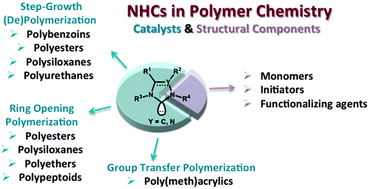 N-Heterocyclic carbenes (NHCs) as organocatalysts and structural ...