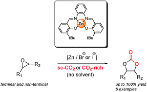 A highly active Zn(salphen) catalyst for production of organic ...