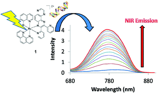 Pushing the limit: synthesis, photophysical and DNA binding studies of ...