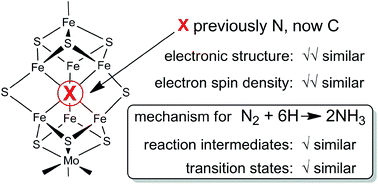 Ramifications of C-centering rather than N-centering of the active site ...