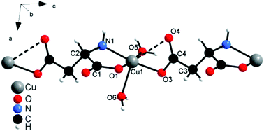 Tuning the coordination chemistry of a Cu(ii) complex at high-pressure ...