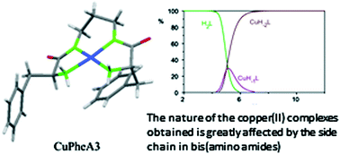 Copper(ii) complexes of bis(amino amide) ligands: effect of changes in ...