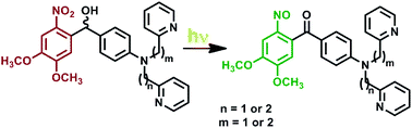 Quantifying factors that influence metal ion release in photocaged ...