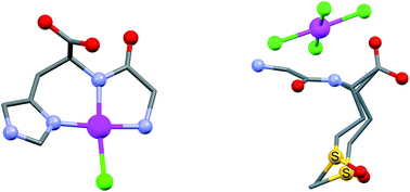 Reactions and structural characterization of gold(iii) complexes with ...
