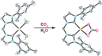 Reaction of carbon dioxide with a palladium–alkyl complex supported by ...