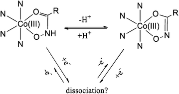 Cobalt complexes with tripodal ligands: implications for the design of ...