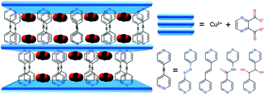 Systematic evaluation of textural properties, activation temperature ...