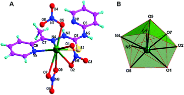 One dodecahedral bismuth(iii) complex derived from 2-acetylpyridine N(4 ...