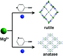 An open-framework rutile-type magnesium isonicotinate and its ...