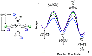 Rational design of [Co(acacen)L2]+ inhibitors of protein function ...