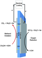 Direct oxidation alkaline fuel cells: from materials to systems ...