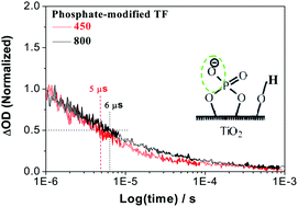 Dynamics of photogenerated charges in the phosphate modified TiO2 and ...