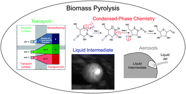 Top ten fundamental challenges of biomass pyrolysis for biofuels ...