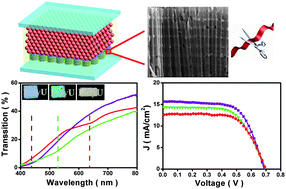 Design and coupling of multifunctional TiO2 nanotube photonic crystal ...