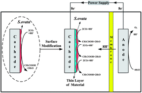 Improved cathode materials for microbial electrosynthesis - Energy ...