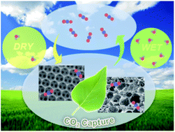 Reversible CO2 capture with porous polymers using the humidity swing ...