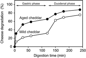 Influence of cheese matrix on lipid digestion in a simulated gastro ...