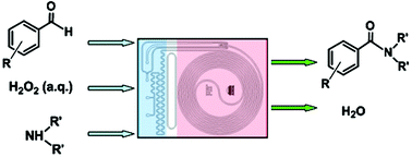 Direct oxidative amidation of aromatic aldehydes using aqueous hydrogen ...