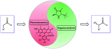 Visible light photoredox organocatalysis: a fully transition metal-free ...