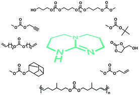 TBD catalysis with dimethyl carbonate: a fruitful and sustainable ...