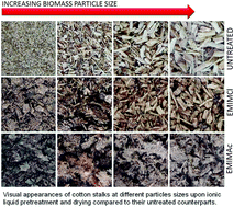 Different ionic liquids favor different lignocellulosic biomass ...