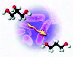 Citrobacter werkmanii, a new candidate for the production of 1,3 ...