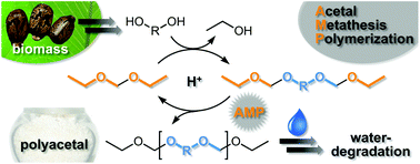 Acetal metathesis polymerization (AMP): A method for synthesizing ...