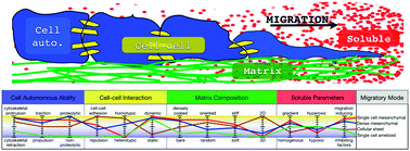 Established and novel methods of interrogating two-dimensional cell ...