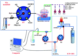 Automatic dynamic chemical fractionation method with detection by ...