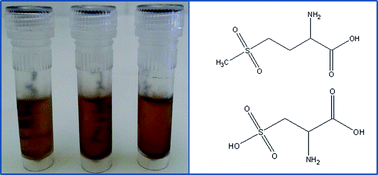 Sulfur containing amino acids – challenge of accurate quantification ...