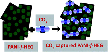 Nanostructured polyaniline decorated graphene sheets for reversible CO2 ...