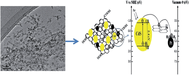 High quality graphene oxide–CdS–Pt nanocomposites for efficient ...