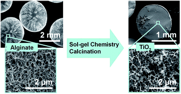 Sol–gel synthesis of hierarchically porous TiO2 beads using calcium ...
