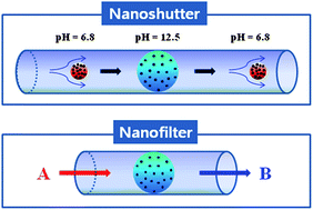 Free-standing polymer nanoactuators, nanoshutters, and nanofilters ...