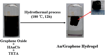 Au/graphene hydrogel: synthesis, characterization and its use for ...