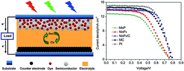 High-performance phosphide/carbon counter electrode for both iodide and ...
