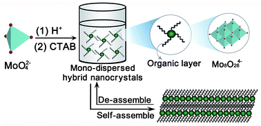 Synthesis, self-assembly and disassembly of mono-dispersed Mo-based ...